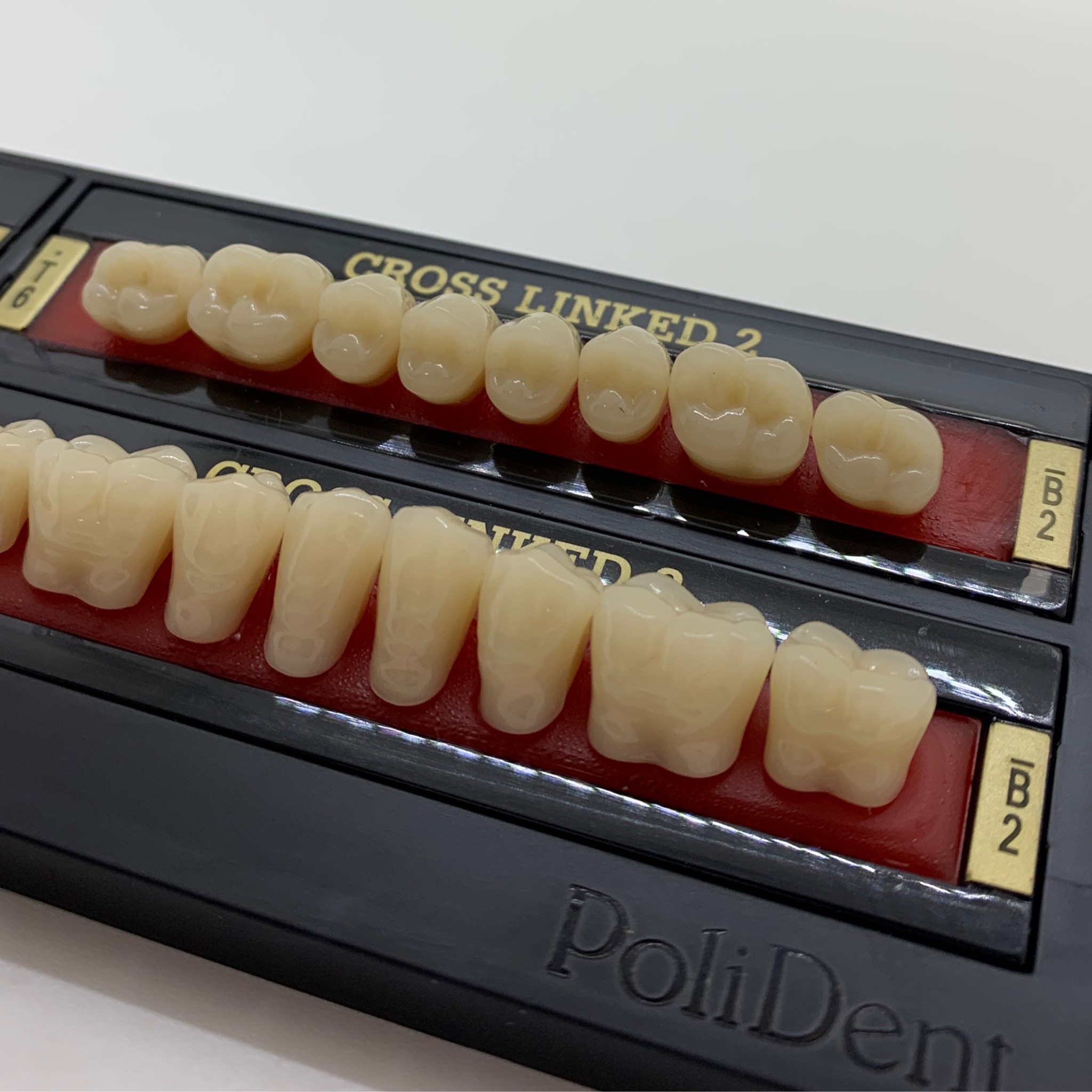 Cross Linked 2 acrylic teeth