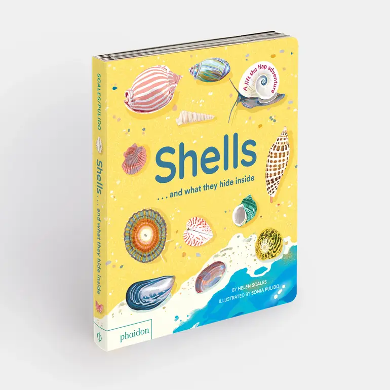 Shells... and What They Hide Inside