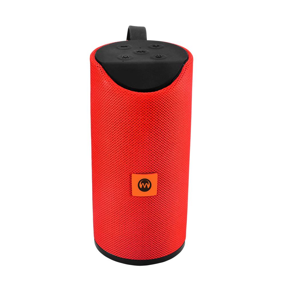 Speaker