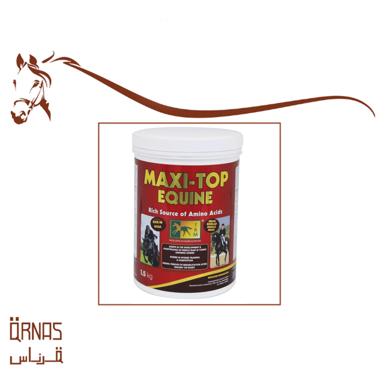 السلة فارغة